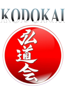 Results for Dojo Kodokai | COPA RYUKO KAI 3 EDICIÓN 2025 | Karate | Kihapp