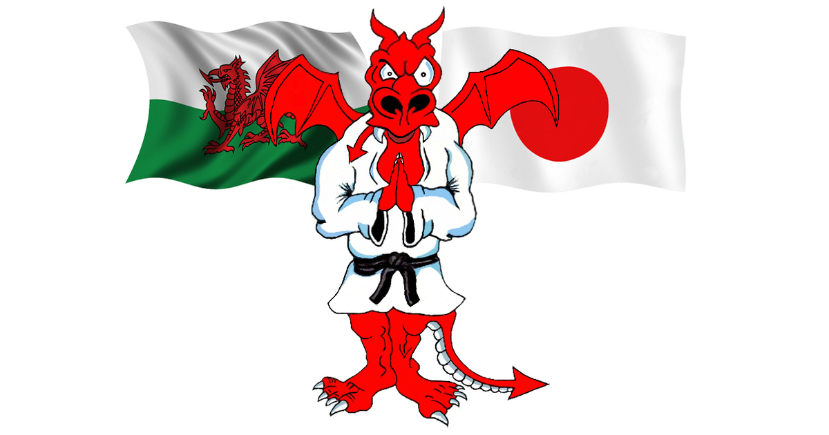 Results for WELSH KARATE LEAGUE FINALE 2024 (WKL6) | Karate | Kihapp