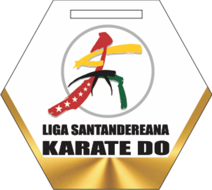 Kata | 1er Campeonato Departamental | Karate | Kihapp