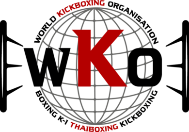 Results for Paradigm Martial Arts | British Open Tatami Championships ...