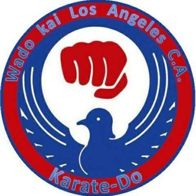 Draws | Wado kai Seiken kai international cup 2025 | Karate | Kihapp